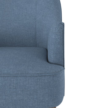 Todd Comfy Fabric Accent Armchair for Living Room or Bedroom Roseland