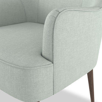 Todd Comfy Fabric Accent Armchair for Living Room or Bedroom Roseland