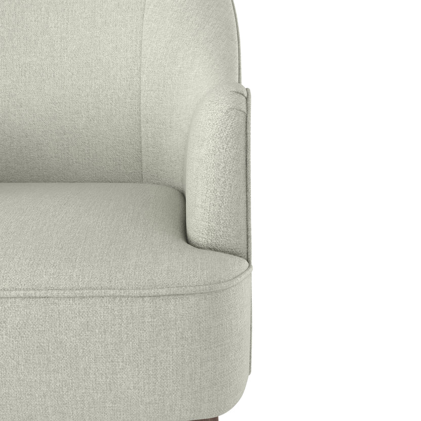 Todd Comfy Fabric Accent Armchair for Living Room or Bedroom Roseland