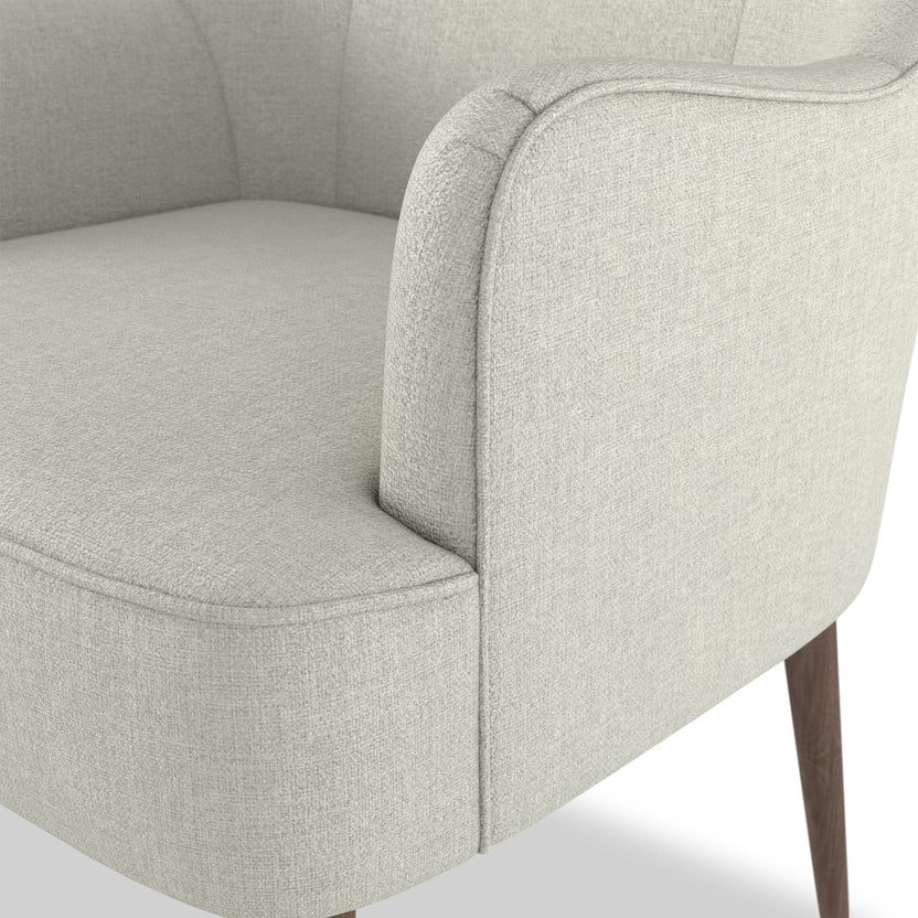 Todd Comfy Fabric Accent Armchair for Living Room or Bedroom Roseland